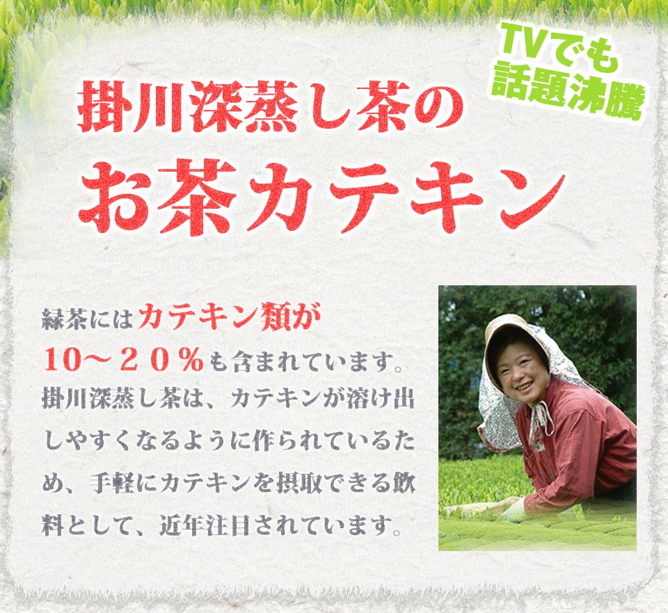 JA掛川市 かけがわ茶（深蒸し茶）アルミ缶 490g x 24本入 – お茶旅